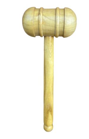 TSA Mulberry Wooden Cricket Bat Mallet – TOTAL SPORTS AUSTRALIA