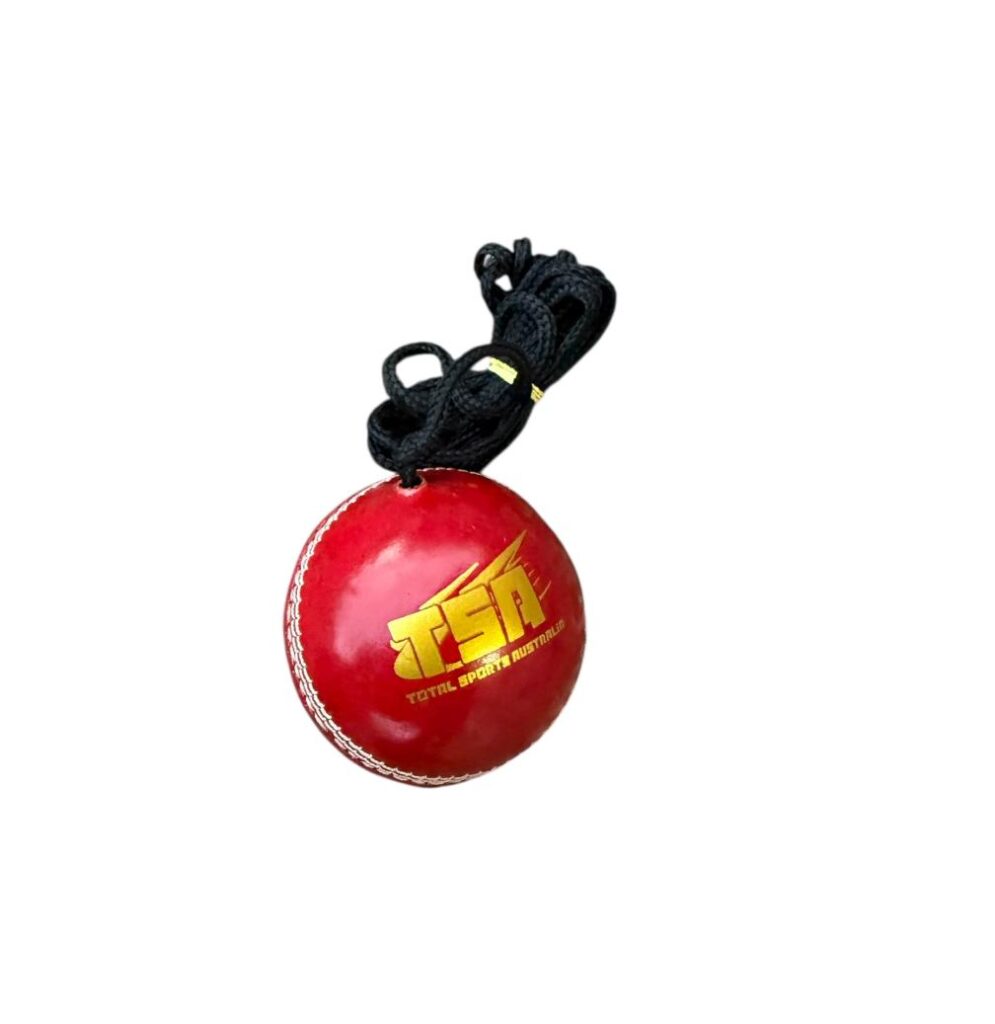 Super Trainer Leather Hanging Training Cricket Ball ( For Practice ...