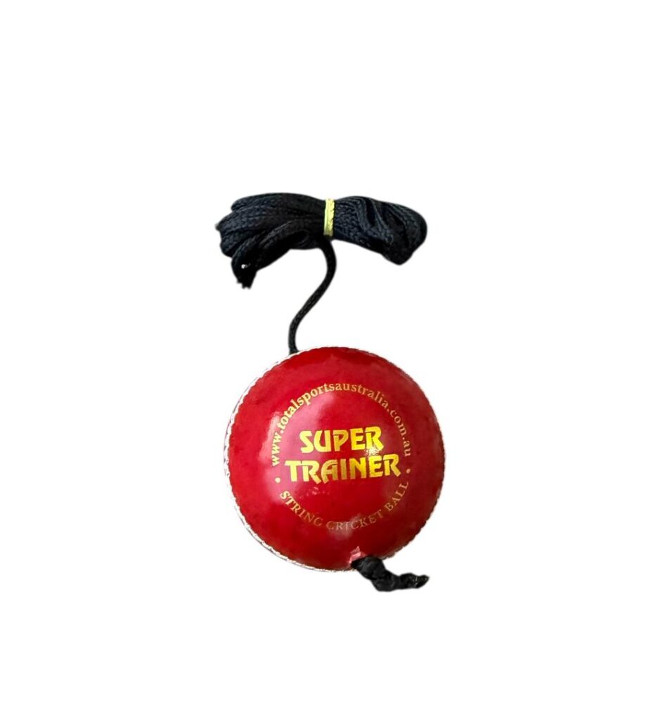 Super Trainer Leather Hanging Training Cricket Ball ( For Practice ...