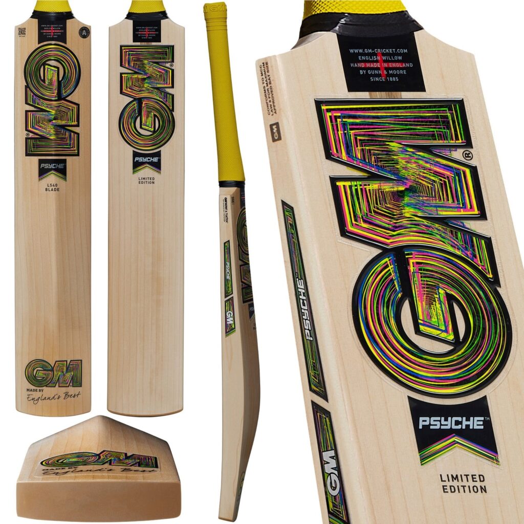 GM Psyche DXM 606 TTNOW Junior English Willow Cricket Bat